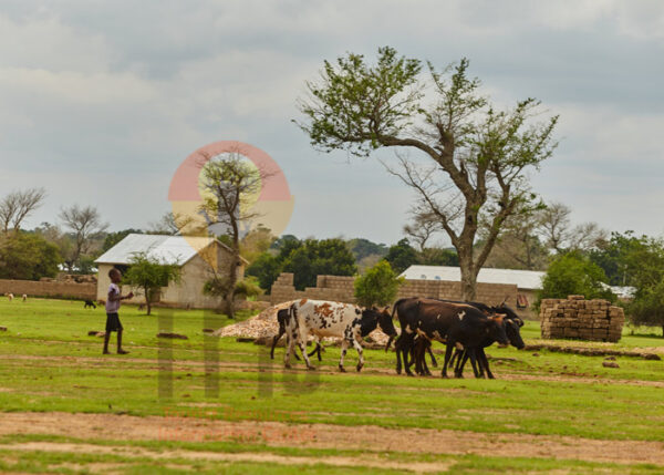 Bolgatanga - The Tourism Resources Information Centre-TRIC